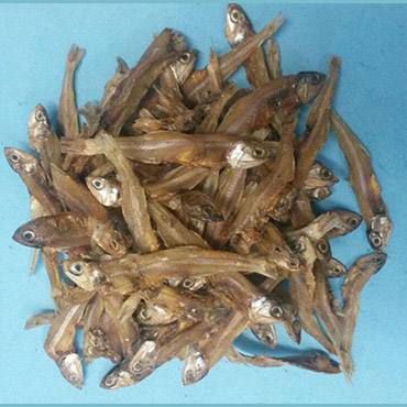 Dried Lizard fish